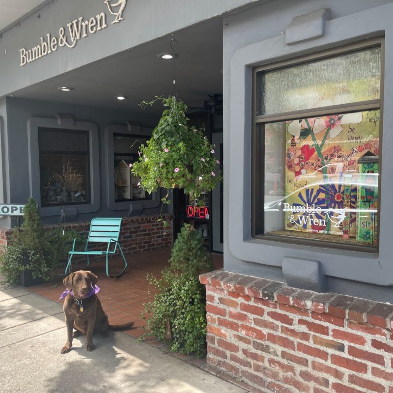 Rogue Valley Times | Downtown Medford Association